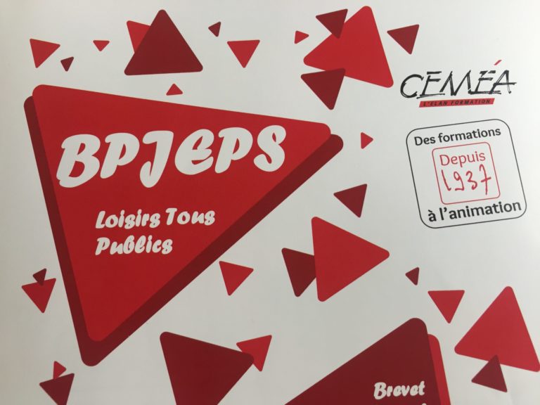 Brevet Professionnel de la Jeunesse, de l’Éducation Populaire et du ...
